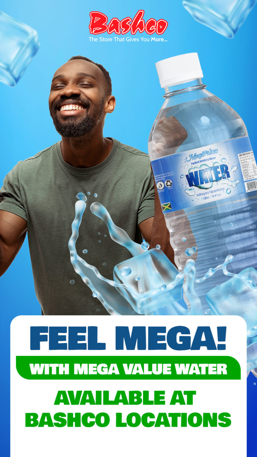 Mega Value Water – Bashco