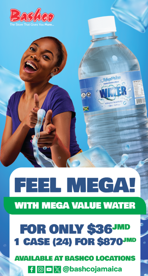 Mega Value Water – Bashco