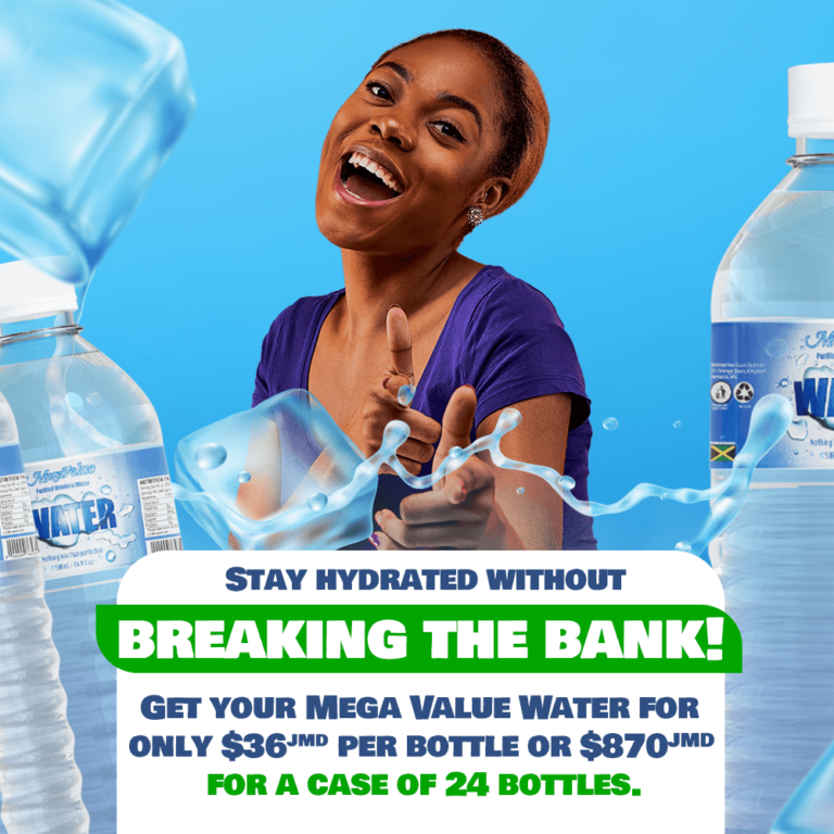Mega Value Water – Bashco